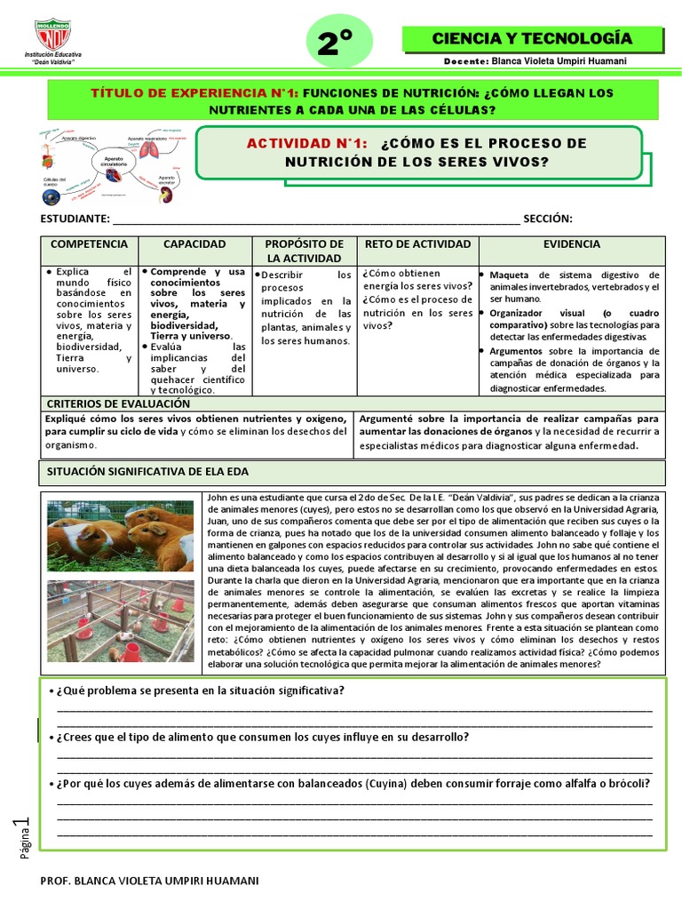 2° SEC. EDA 2 SEMANA 1 Explica CYT 2023 Cómo es el proceso de nutrición de los seres vivos | PDF