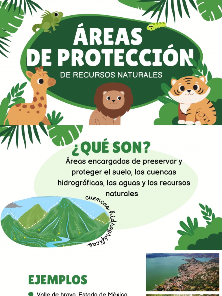 Areas de Protección de Recursos Naturales (1) | PDF Areas de Protección de Recursos Naturales (1) | PDF