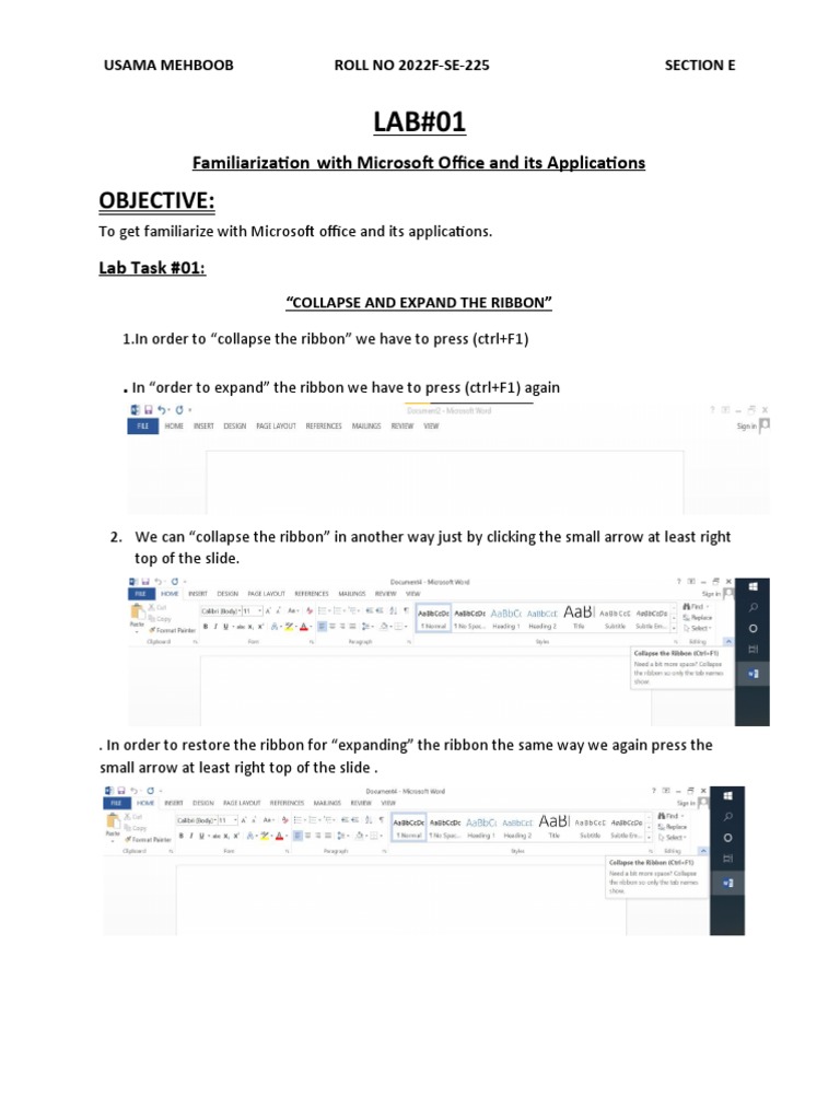 Itc Lab 01 | PDF | Software Engineering | Software Development