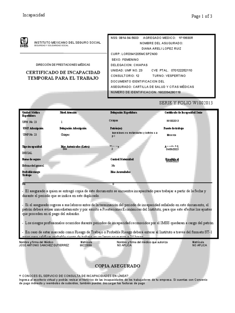 Formato de Incapacidad IMSS PDF | PDF