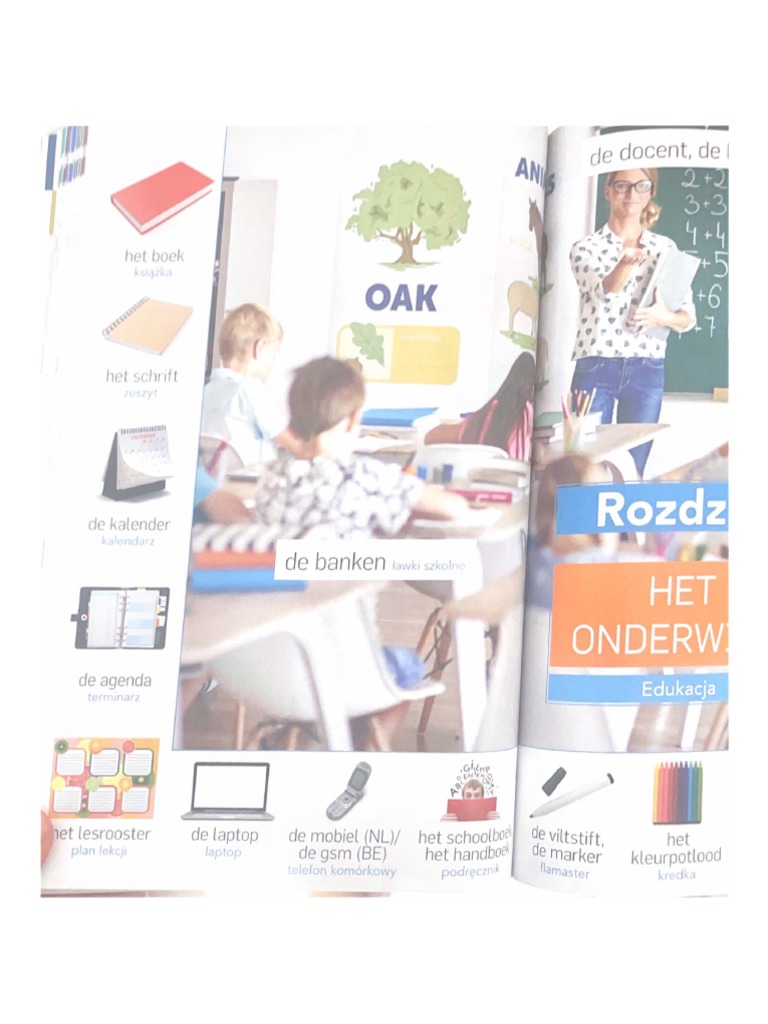 de docent, de leraar | PDF
