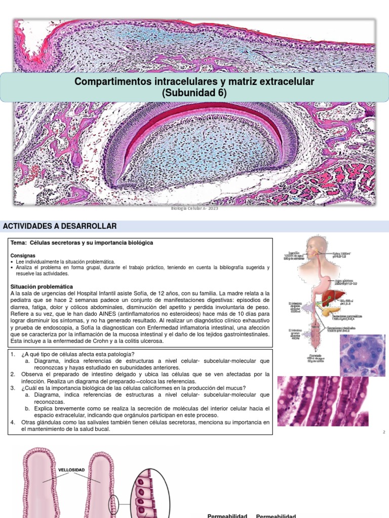 Imagenes para El TP 6, 2023 | PDF