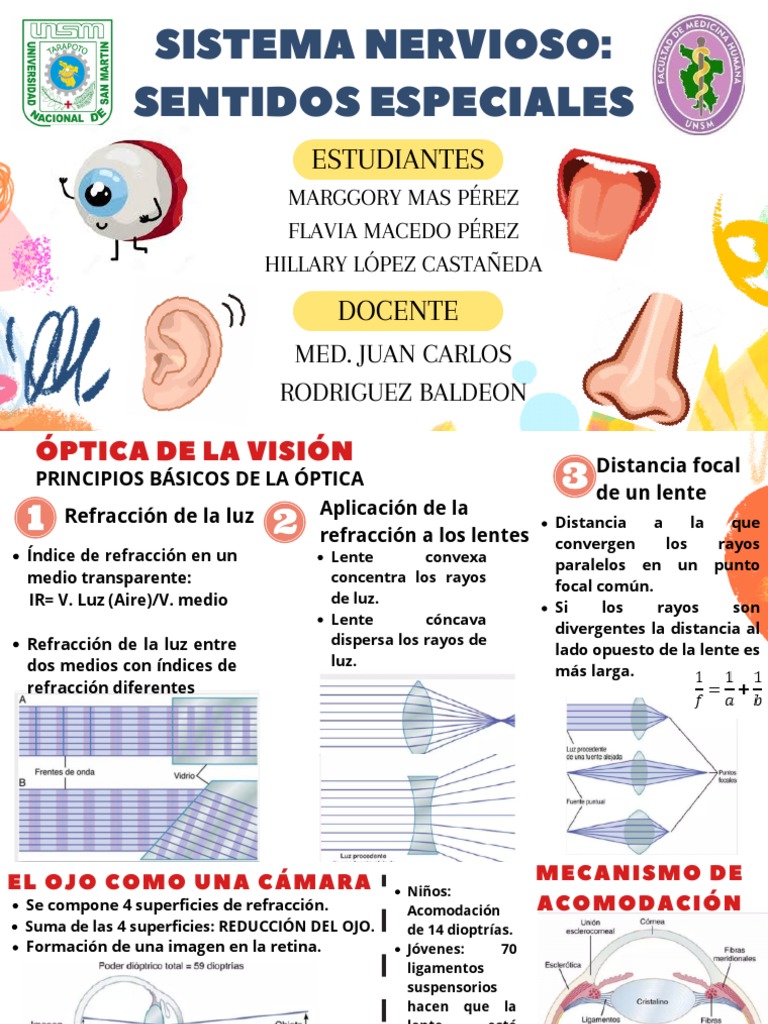 Sentidos Fisiología | PDF | Percepción visual | Gusto