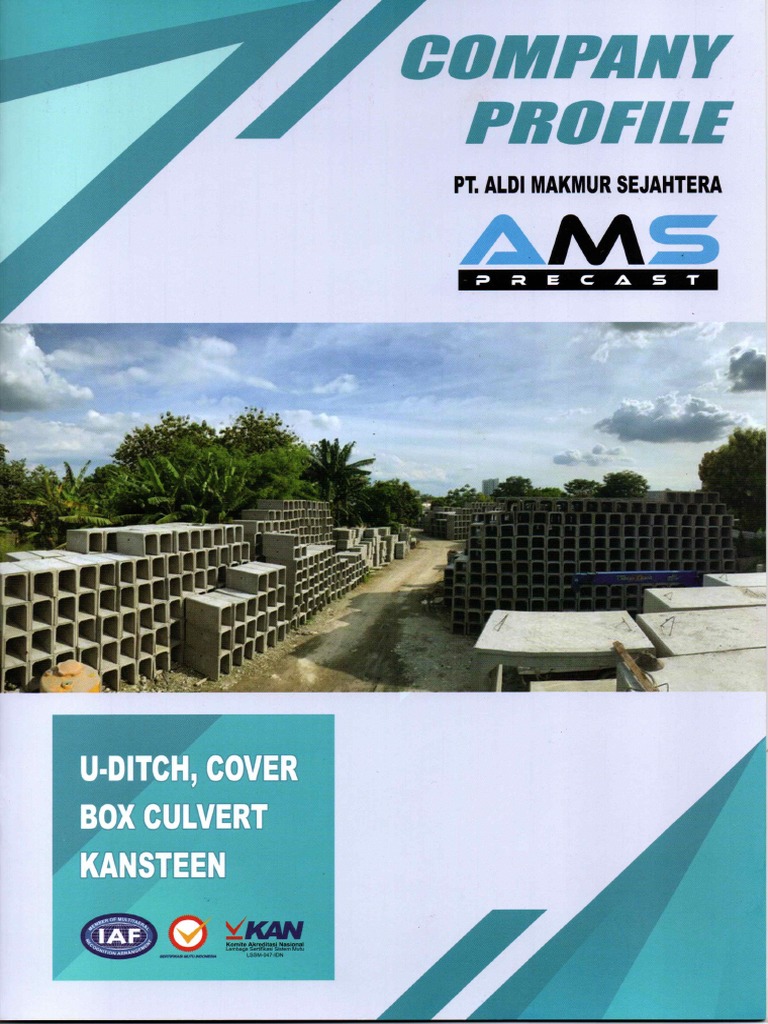 Company Profile AMS | PDF