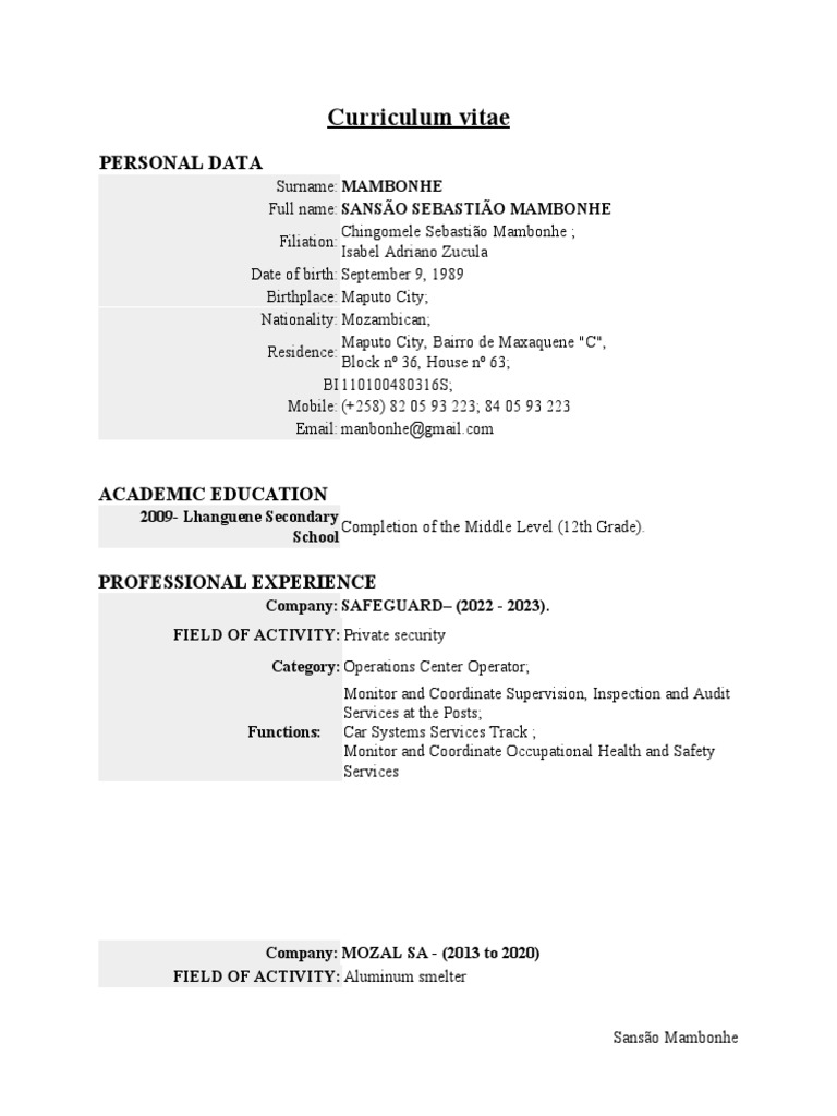 Curriculum - Vitae - Sansao ING | PDF | Occupational Safety And Health | Business