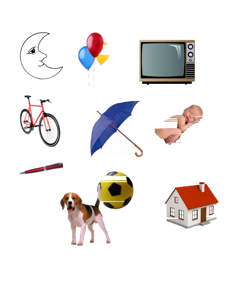 Laminas Del Cumanin | PDF