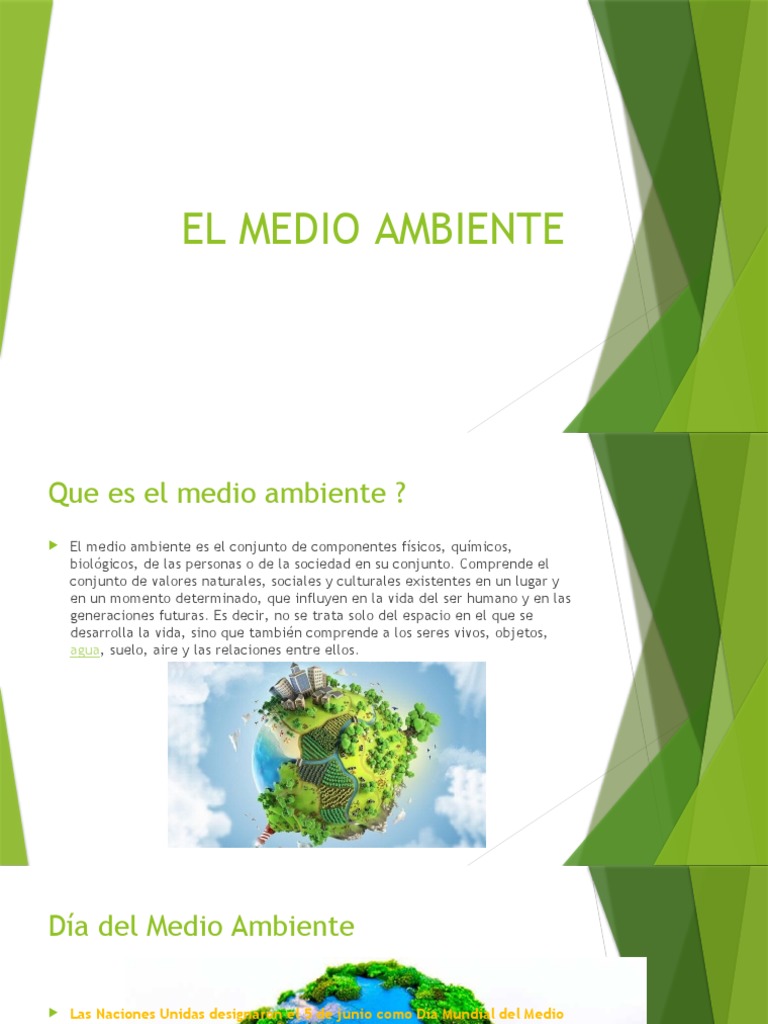 El Medio Ambiente | PDF