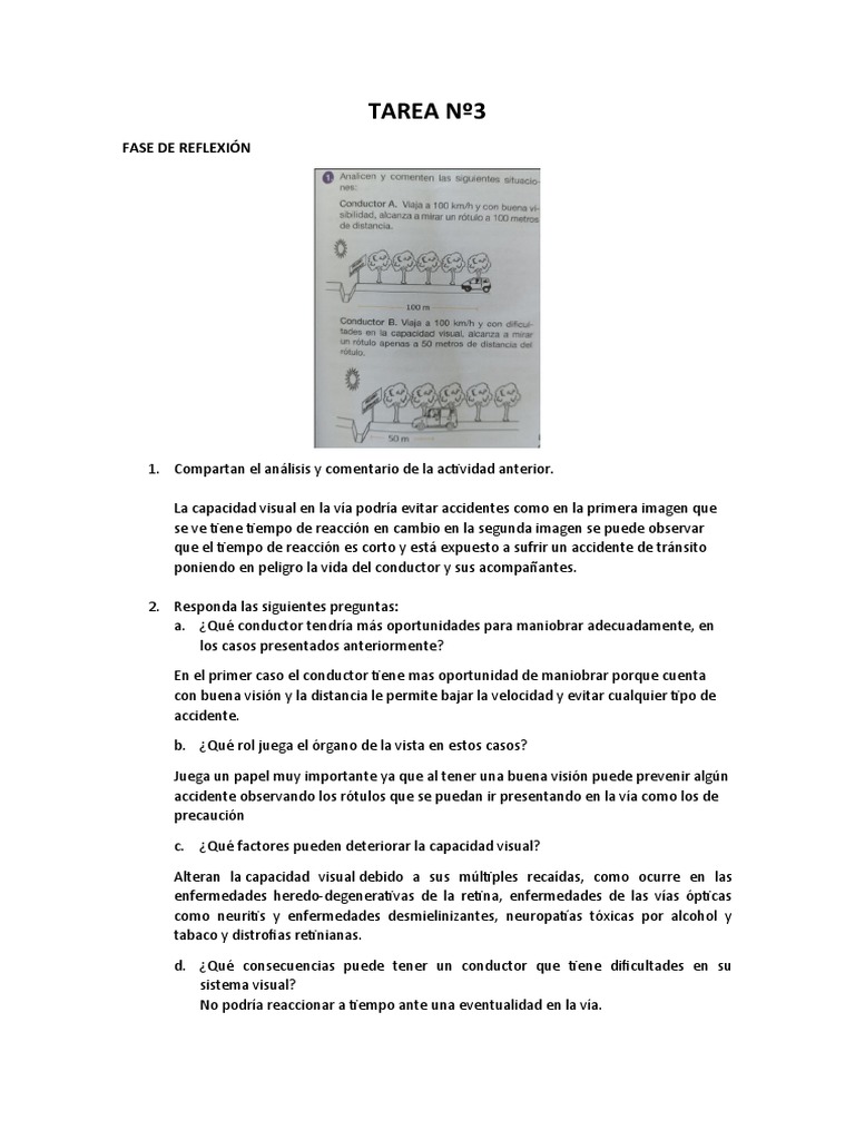 Tarea Nº3 | Descargar gratis PDF | Percepción visual | Percepción