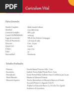 CURRICULUM VITAE BASICO Paola | PDF