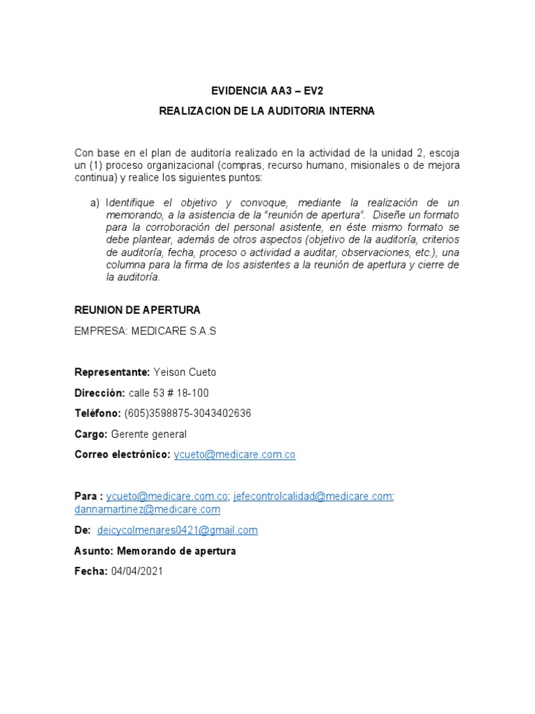 Evidencia Aa3 - Ev2 | PDF | Auditoría | Business