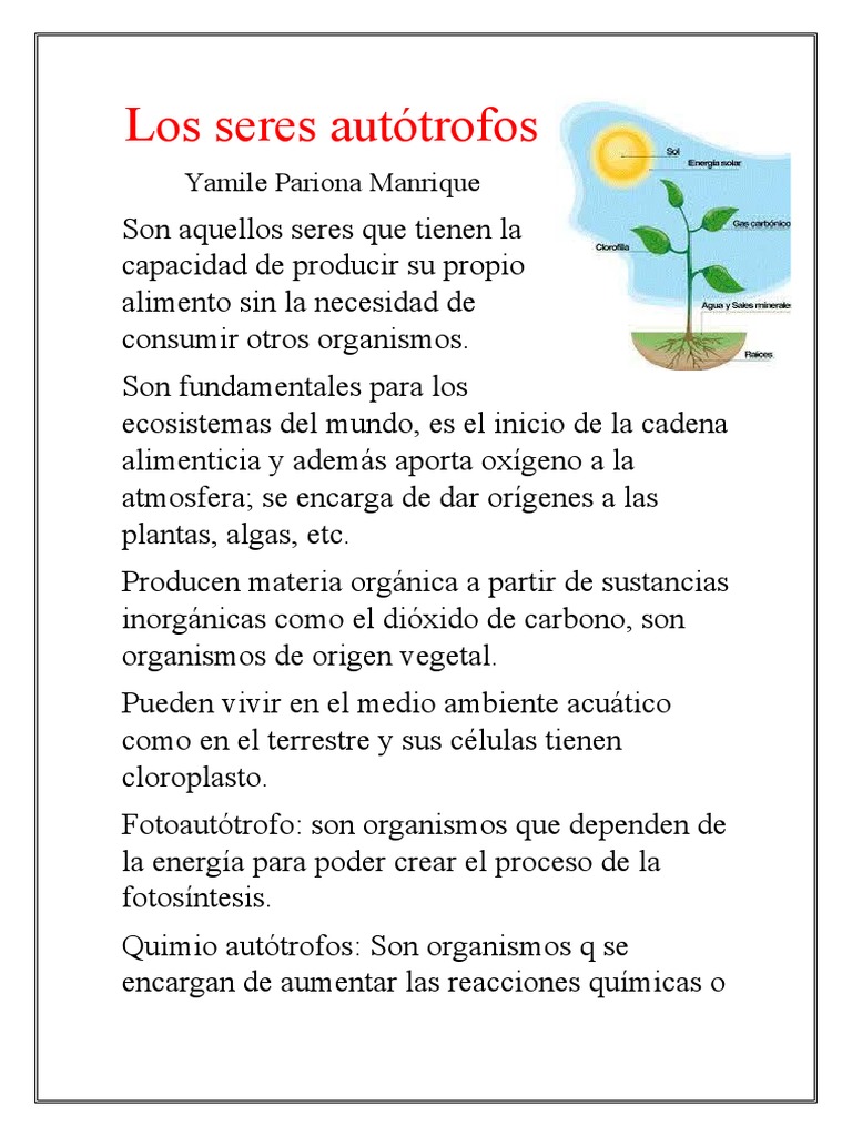 Los Seres Autótrofos | PDF