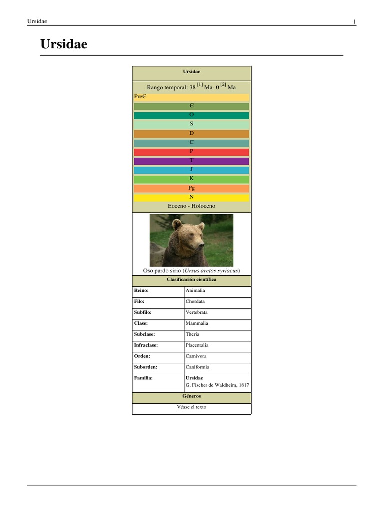 Ursidae Osos | PDF | Osos | Animales carnívoros