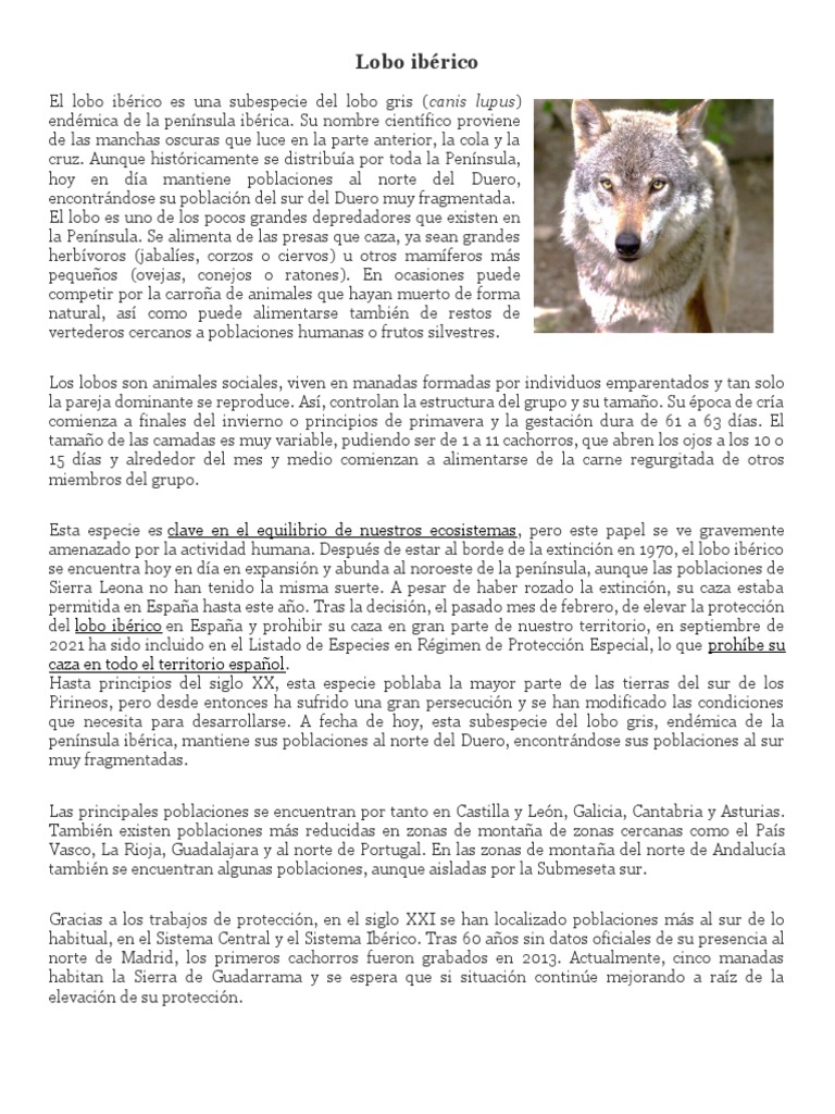 Lobo Iberico | PDF