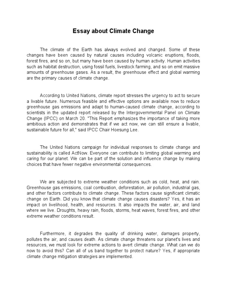 Essay About Climate Change | PDF | Climate Change | Human Impact On The ...