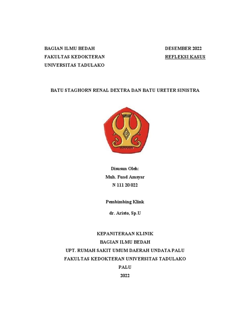 Refka Fuad Batu Ginjal | PDF