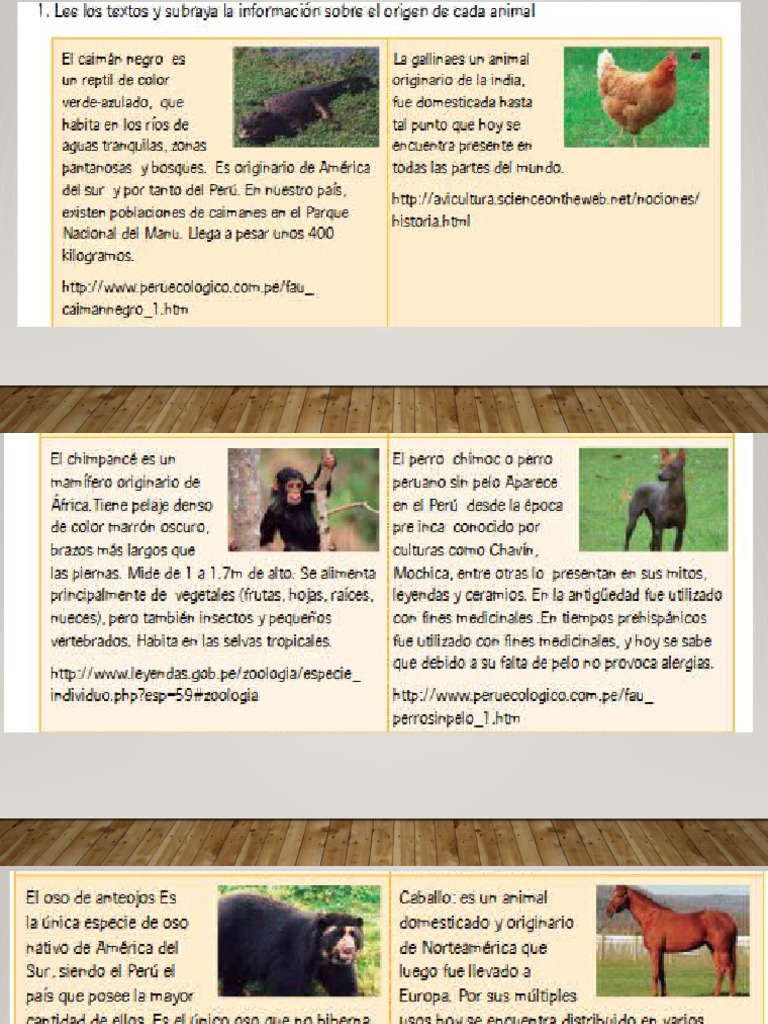 Animales Ciencia | PDF