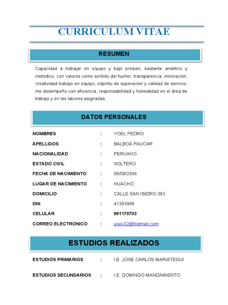 Curriculum Vitae 2023 (Con Conocimientos y Habilidades, Estudios Profesionales) | PDF ...