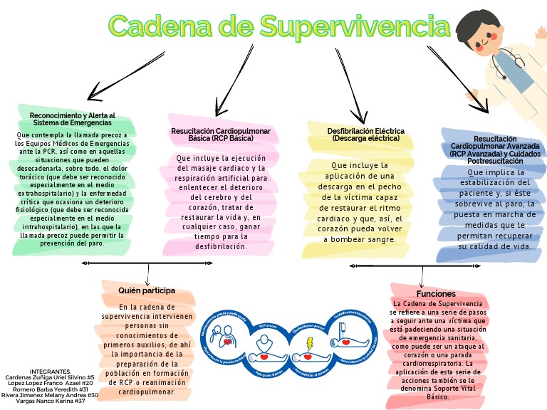 La Cadena de Supervivencia | PDF | Reanimación cardiopulmonar ...