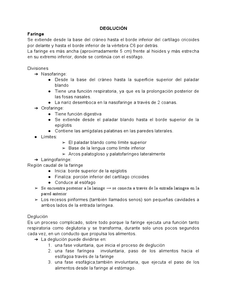 Anatomía y Fases de la Deglución | PDF | Esófago | Laringe