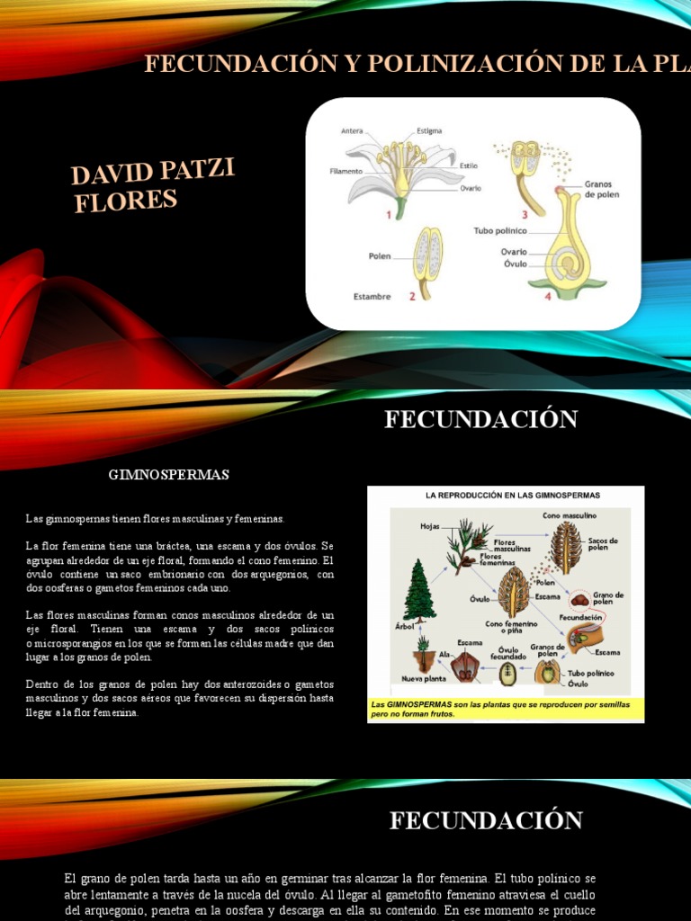 Fecundación y Polinización en Plantas | PDF | Polinización | Organismos