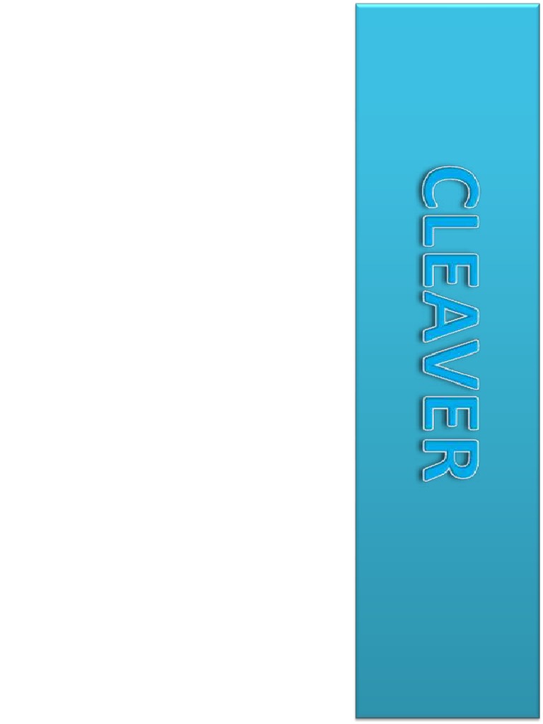 Prueba Cleaver | PDF