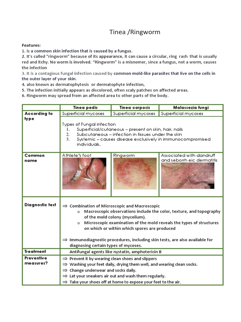 Ringworm | PDF | Health Sciences | Microbiology