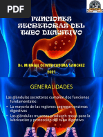 Inervación e Irrigación del Esófago y Estómago | PDF | Estómago | Esófago