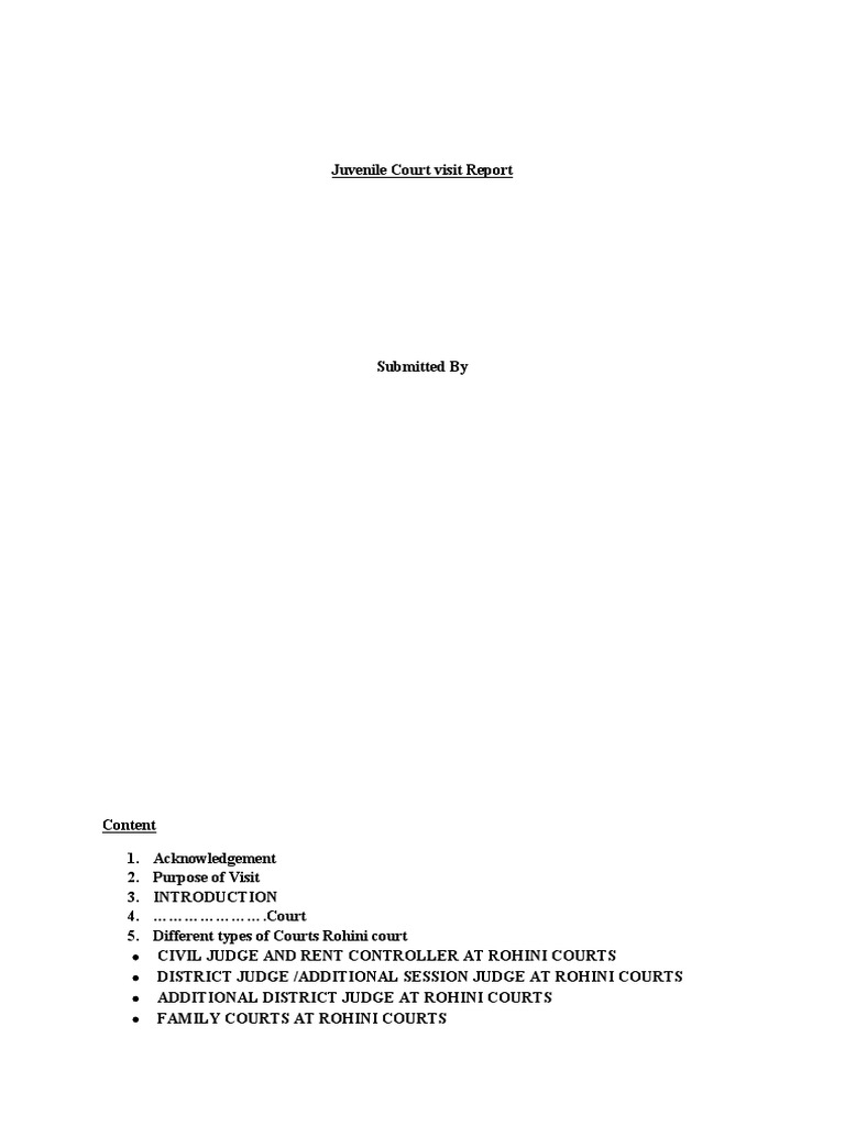 Court Visit Report | PDF
