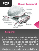 Celda Parotídea y Glandula Parotida RESUMEN | PDF ...