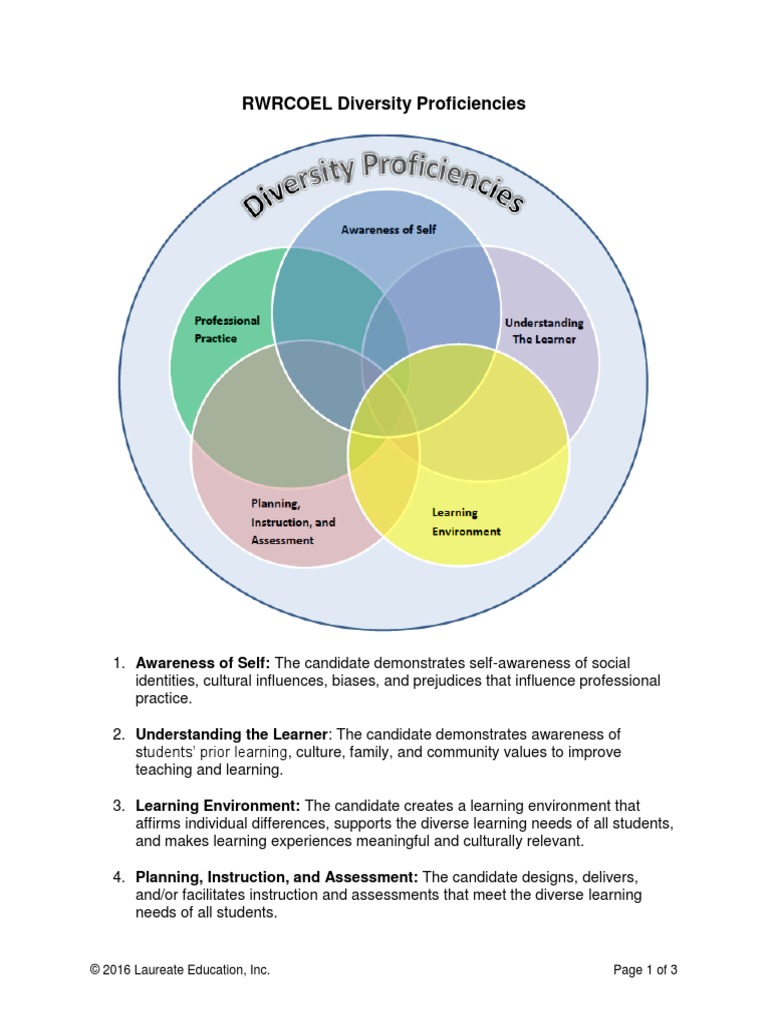 Msed Rwrcoel Diversity Proficiencies | PDF