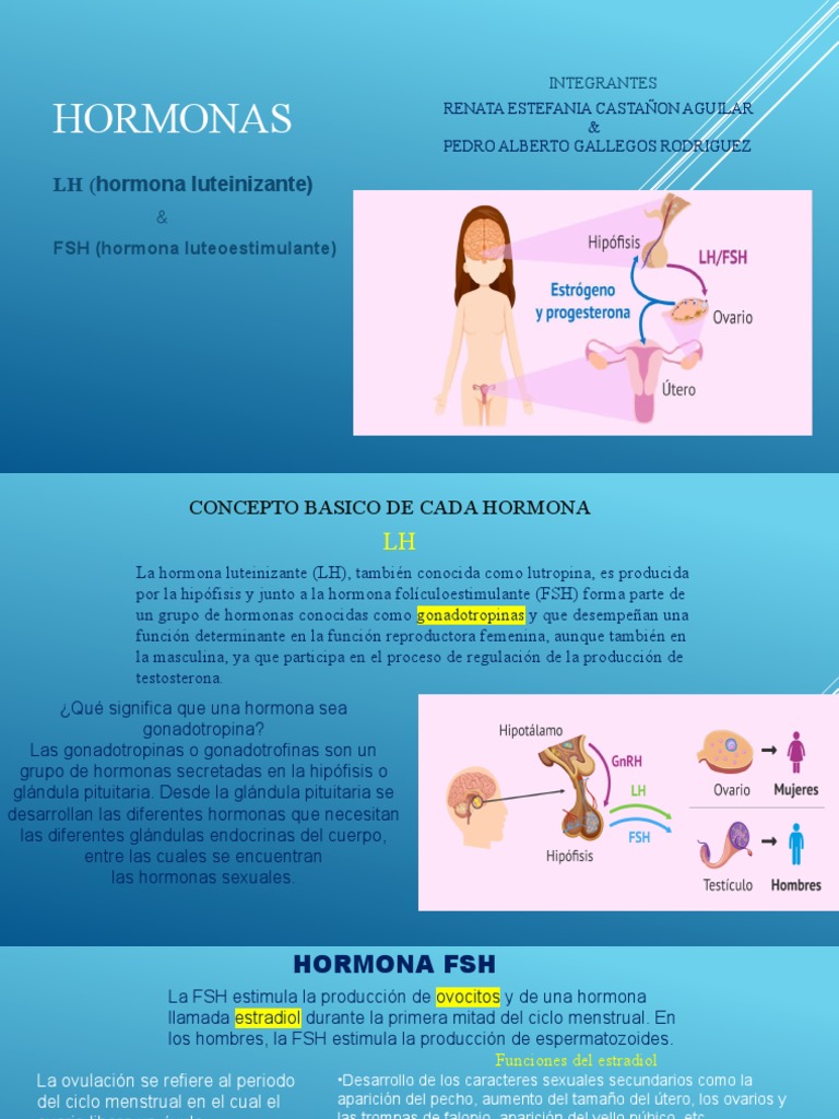 Hormonas | PDF | Ciclo menstrual | Hormona luteinizante