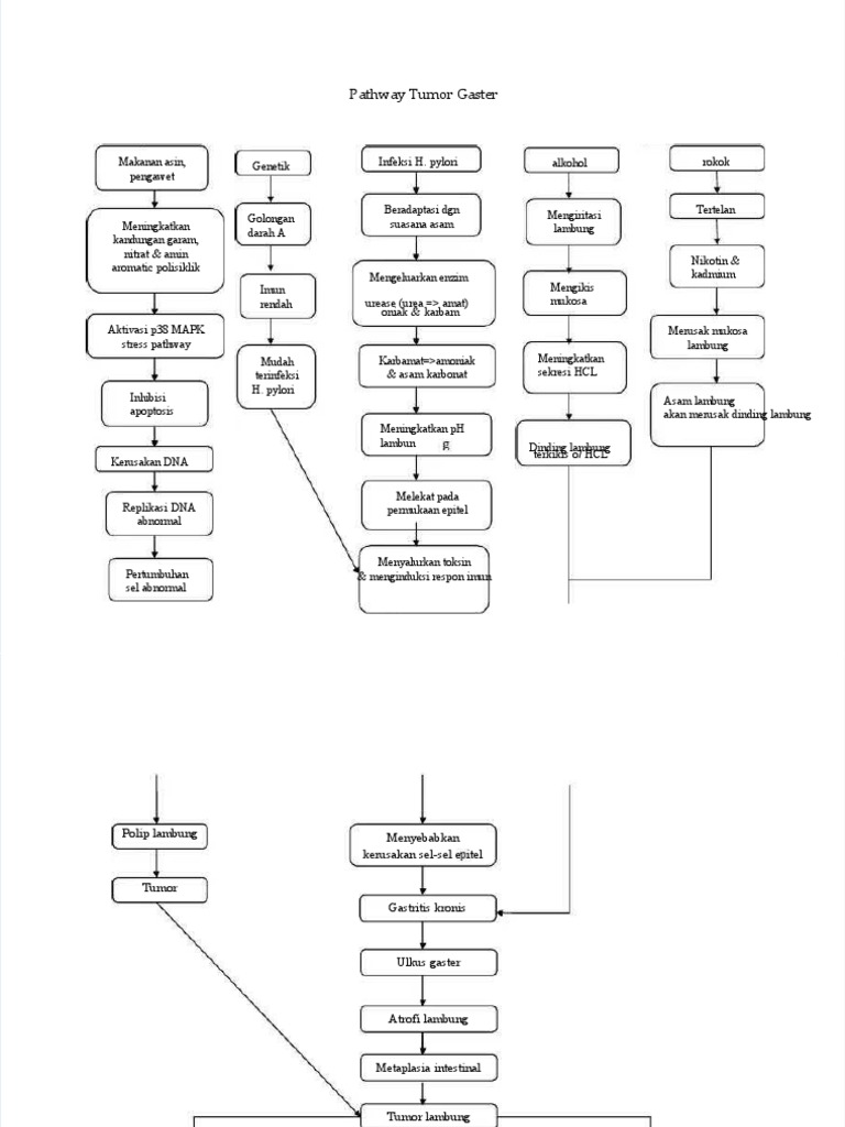 pdf-woc-tumor-gaster | PDF