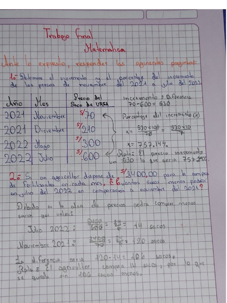 Trabajo Final Matematica | PDF