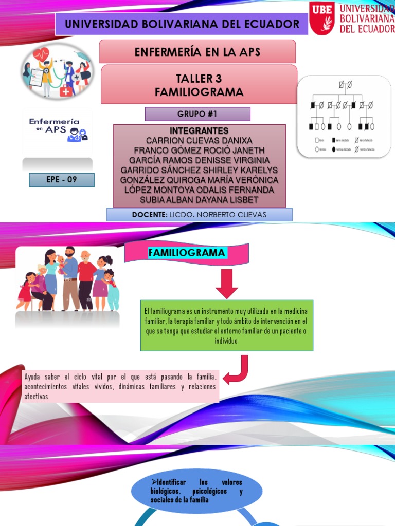 Taller 3 Grupo 1 Enfermeria en Aps | PDF | Familia | Enfermería