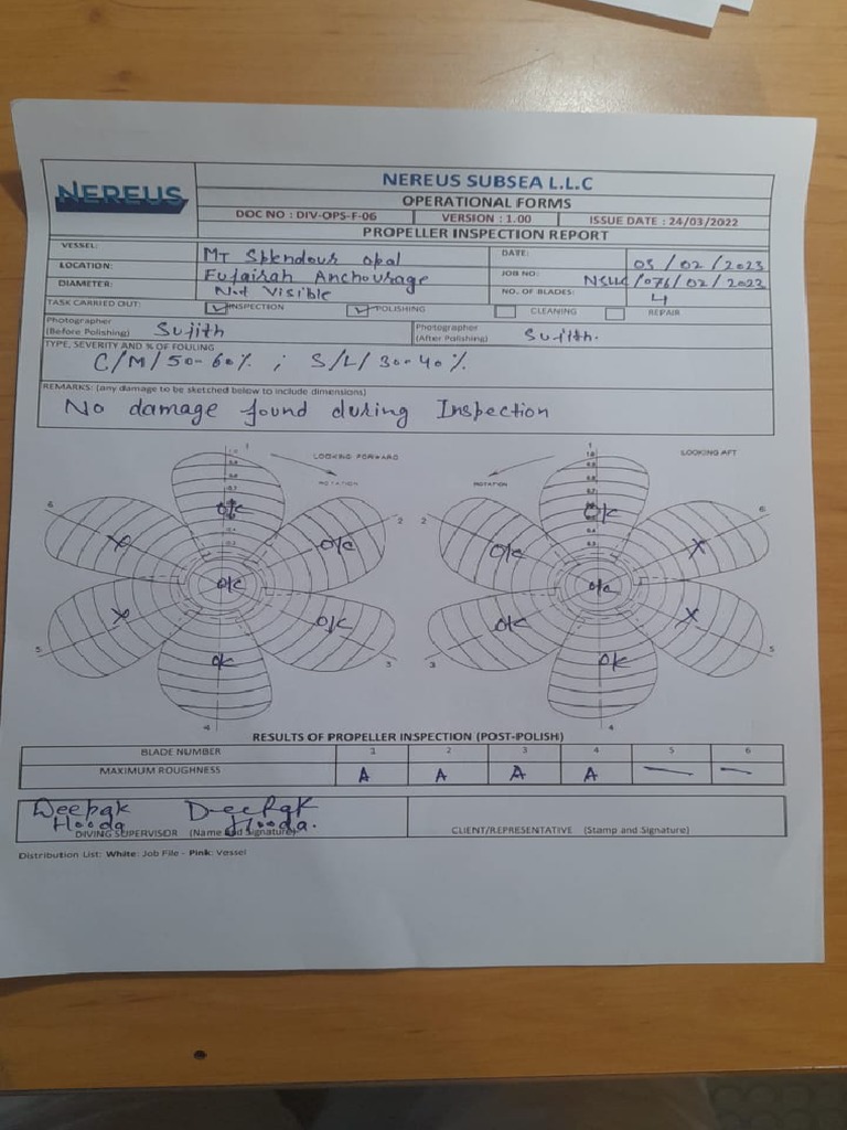 Splendour Opal - Hull Cleaning Report 03.02.2023 | PDF
