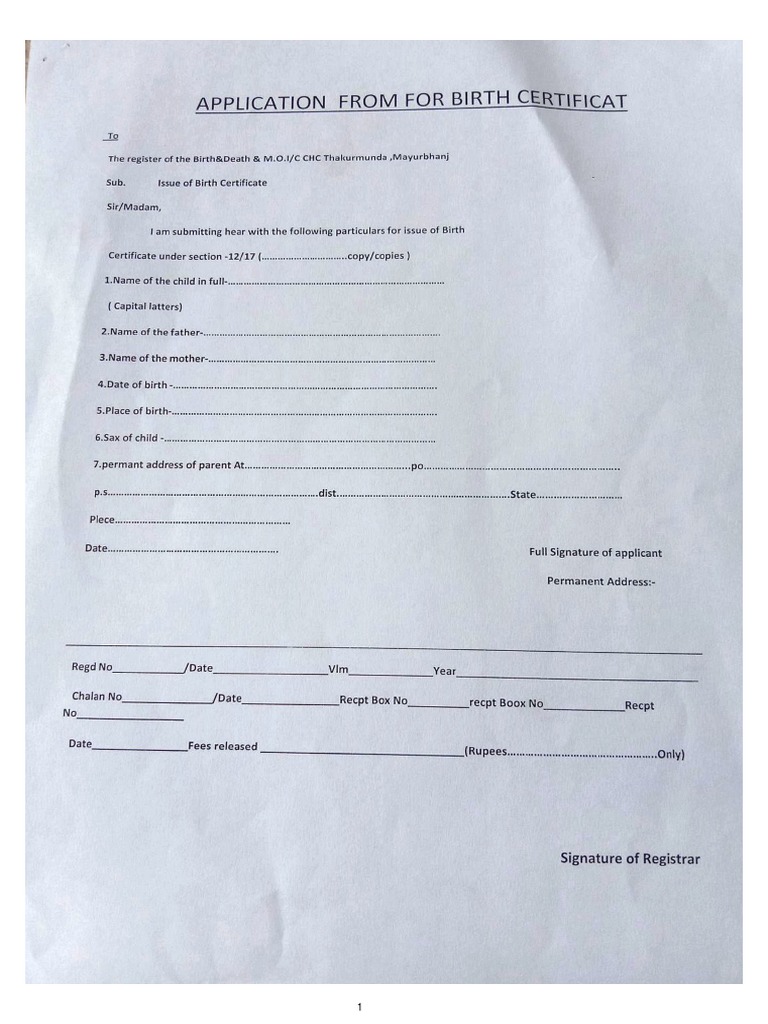 Birth Certificate Form | PDF