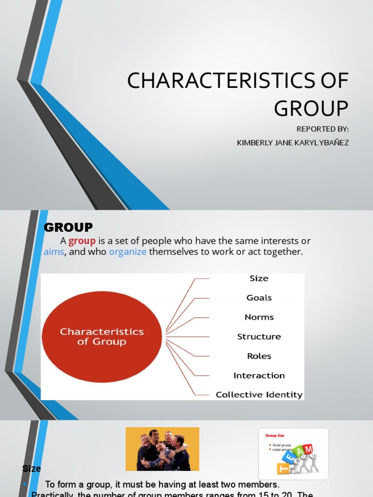 Key Characteristics of Social Groups | PDF