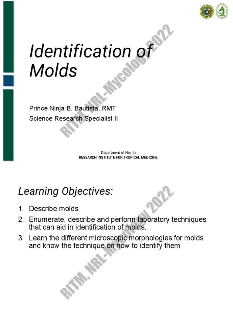 9.-Laboratory-Identification-of-Molds | PDF | Mold | Fungus
