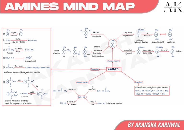 Amines Mind Map | PDF