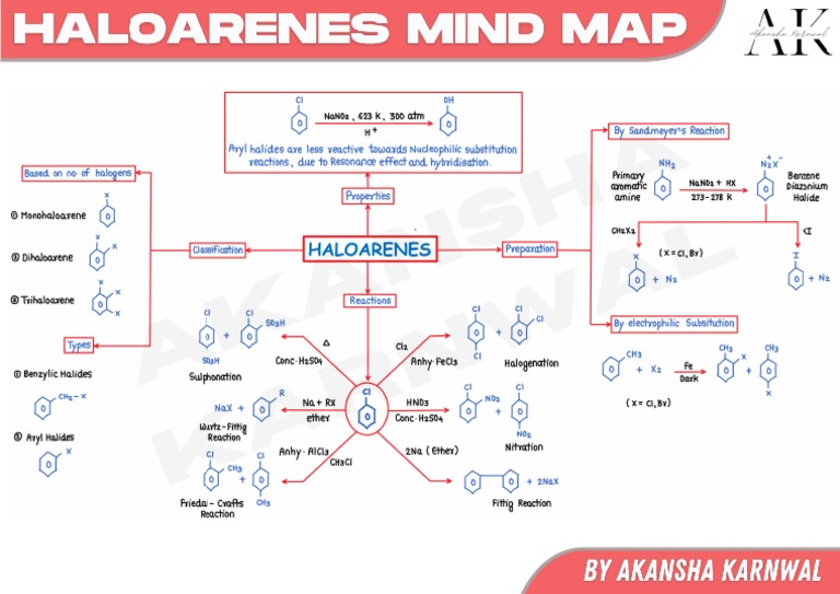 Haloarenes Mind Map | PDF