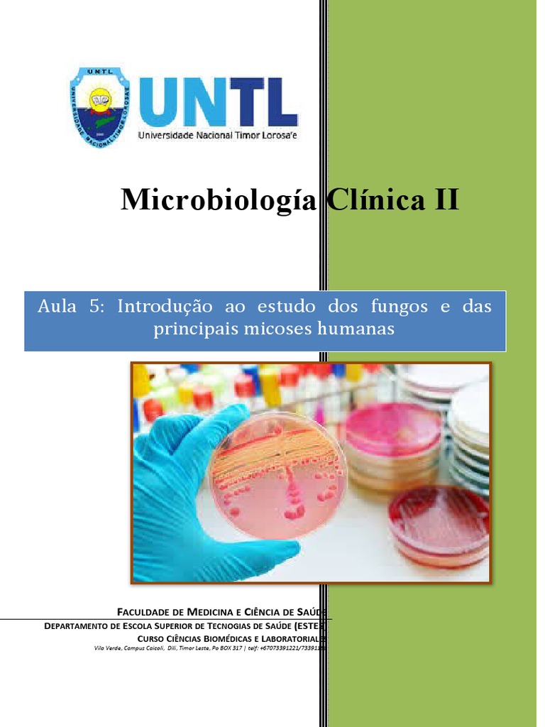 Microbiología Clínica II Aula # 5 Introdução Ao Estudo Dos Fungos e Das ...