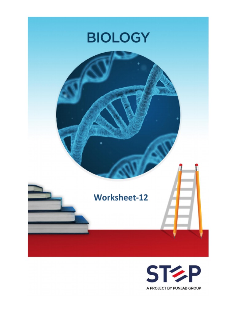 Worksheet 12 Bio (2021) STEP | PDF | Chlorophyll | Cellular Respiration