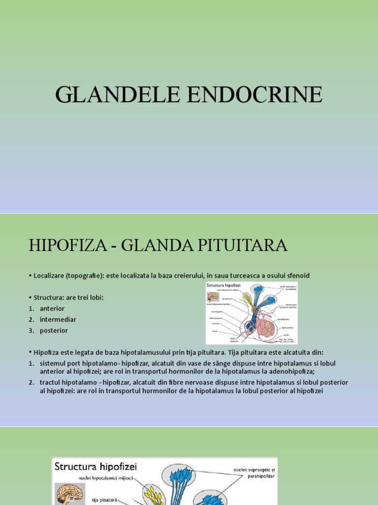 Cap. 4 - Glandele Endocrine | PDF