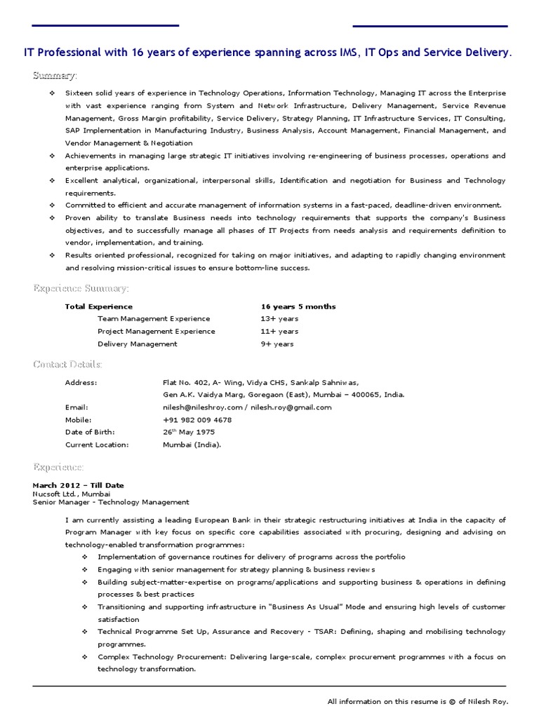 IT Proffesional CV Template | PDF
