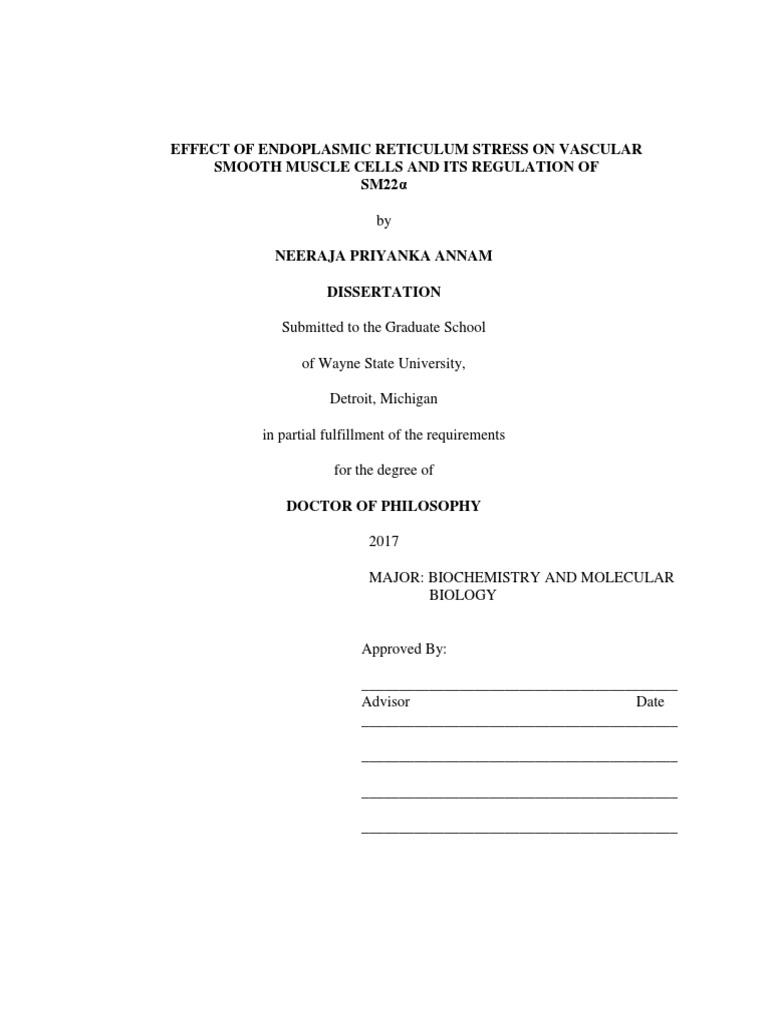 Effect of ER Stress On Vascular Smooth Muscle Cells | PDF | Endoplasmic ...