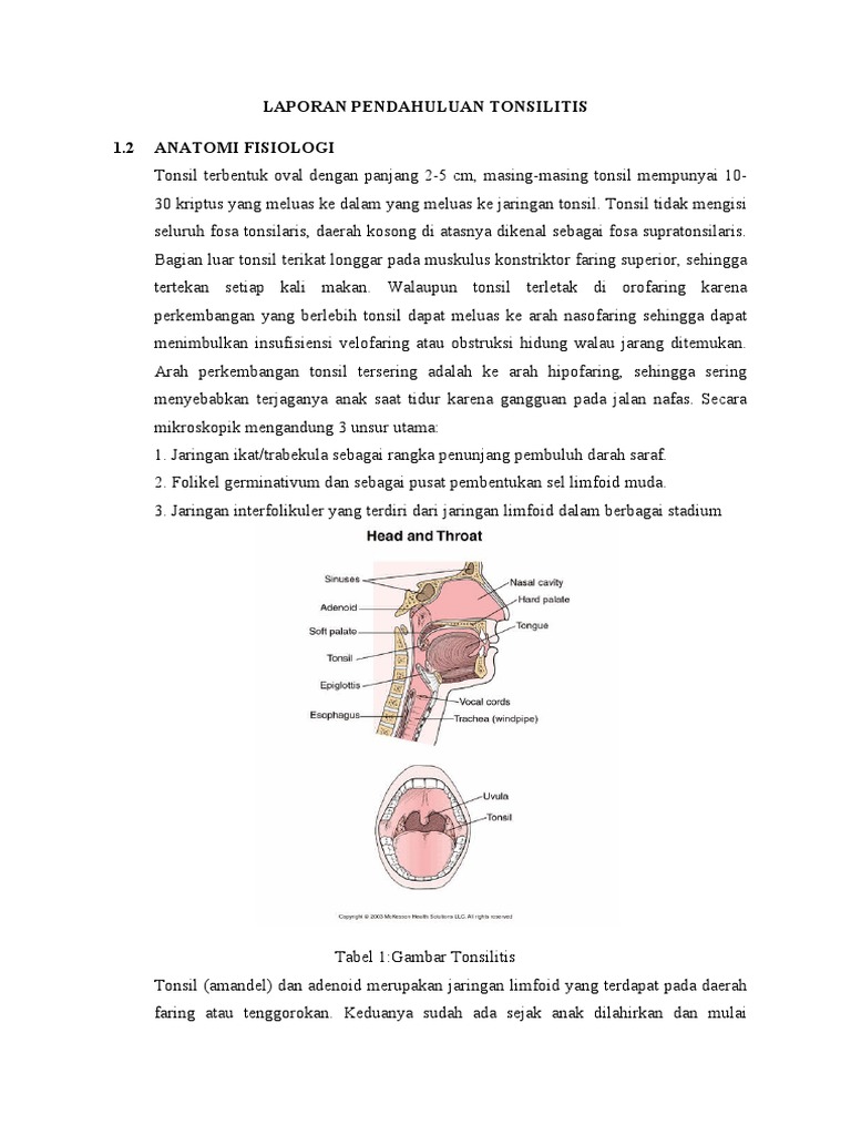 LP Tonsil | PDF