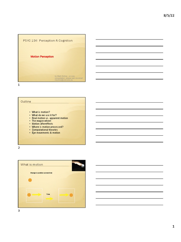 Motion Perception | PDF
