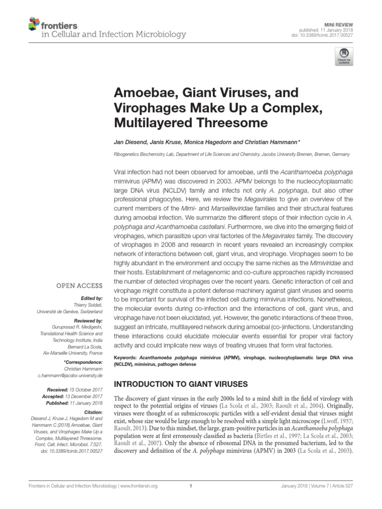 Amoebae, Giant Viruses, and Virophages Make Up A Complex, Multilayered Threesome | PDF