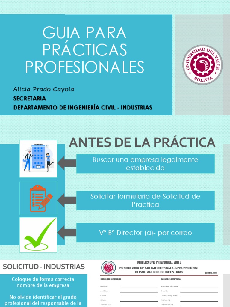 Guia para Prácticas Profesionales | PDF