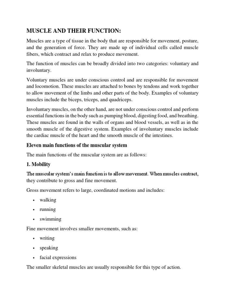 Functions of Muscles and Connective Tissues | PDF | Skeletal Muscle ...